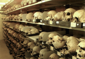 Human Brains Are Shrinking in Size — Thoughts on Precisely Why Are ...